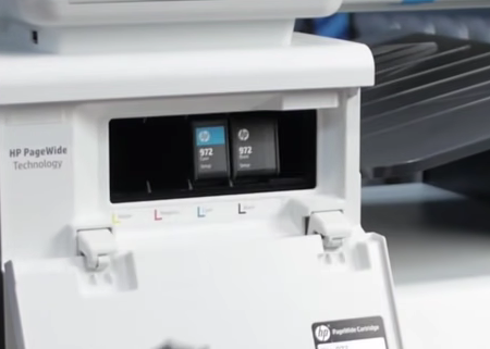 Andrew Derocher - About